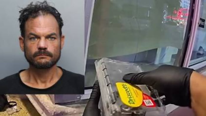 Cops cuffing felon on Lincoln Road find sea turtle hatchlings in fruit ...